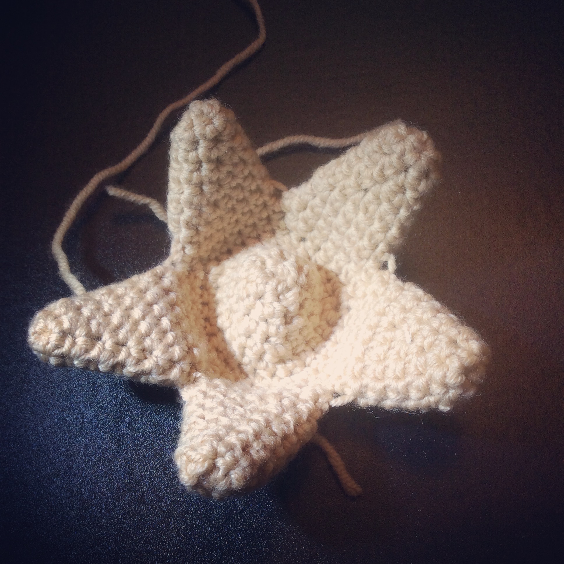 Togepi takes centre stage